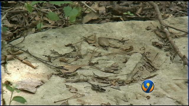 Woman believes someone digging up old graves | WSOC-TV